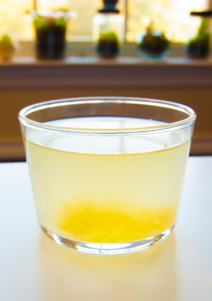 Refreshing Ginger Tisane (Tea) – plantcrush