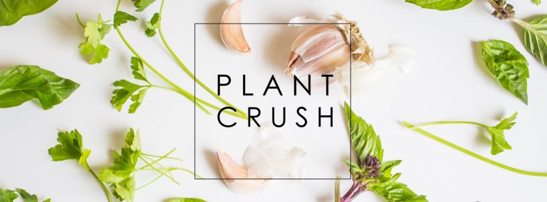 Mint Matcha Delight | plantcrush x CHAVA Magazine – plantcrush