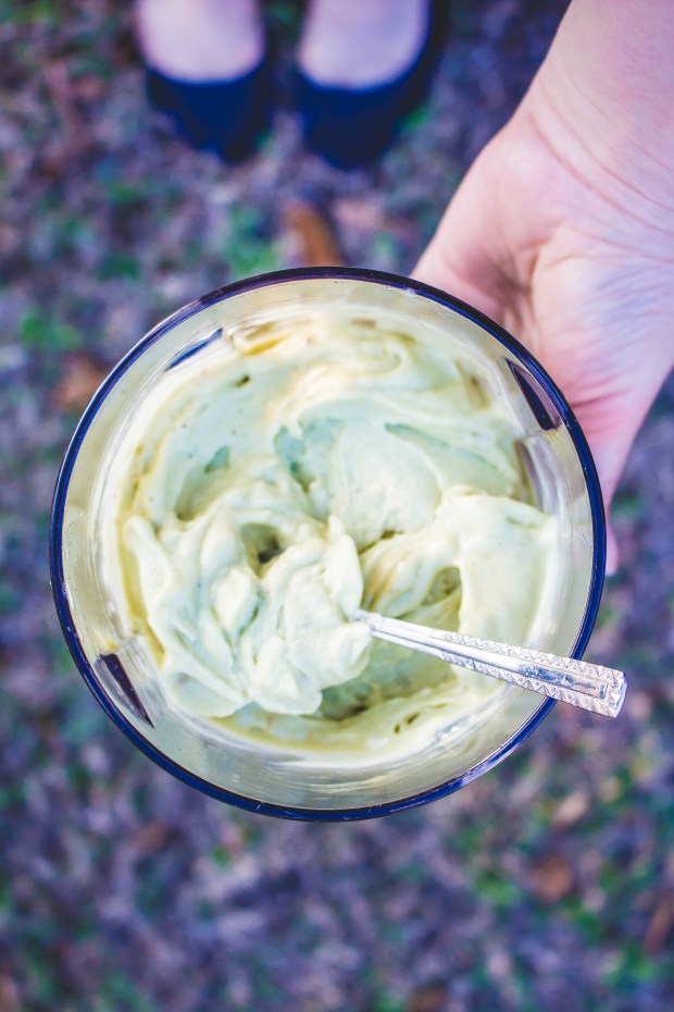 Mint Matcha Delight | plantcrush x CHAVA Magazine – plantcrush