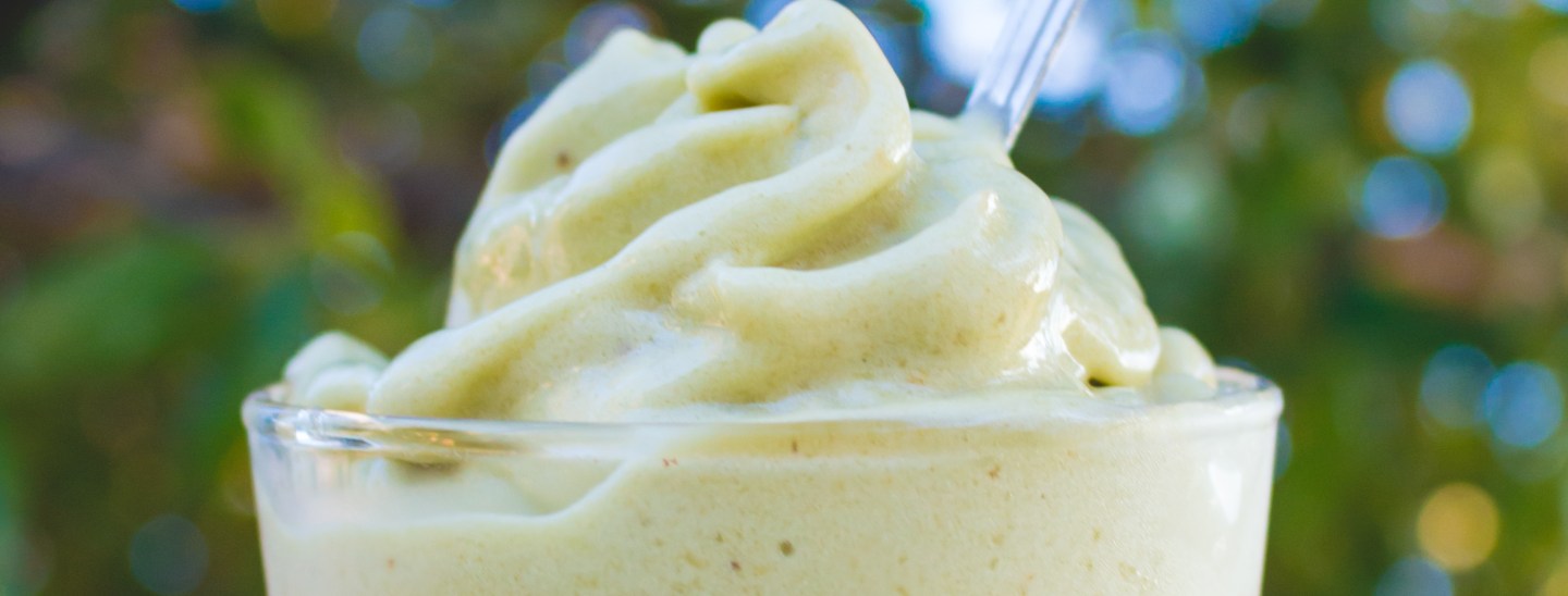 Mint Matcha Delight | plantcrush x CHAVA Magazine – plantcrush