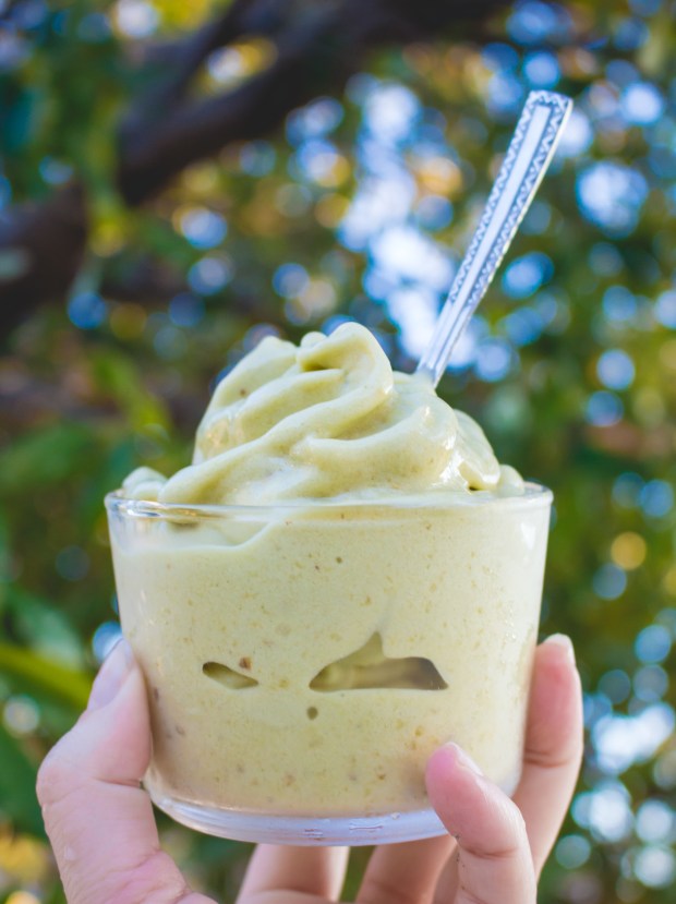 Mint Matcha Delight | plantcrush x CHAVA Magazine – plantcrush
