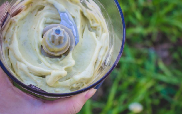 Mint Matcha Delight | plantcrush x CHAVA Magazine – plantcrush